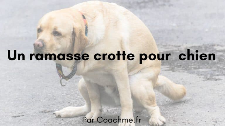 Comment choisir son ramasse crotte pour chien